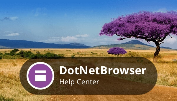 Overview | DotNetBrowser