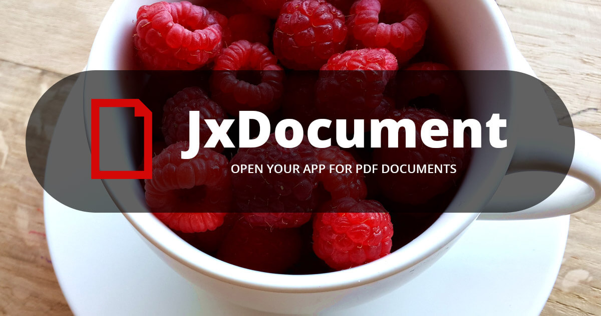 JxDocument | Java Swing PDF Viewer Component